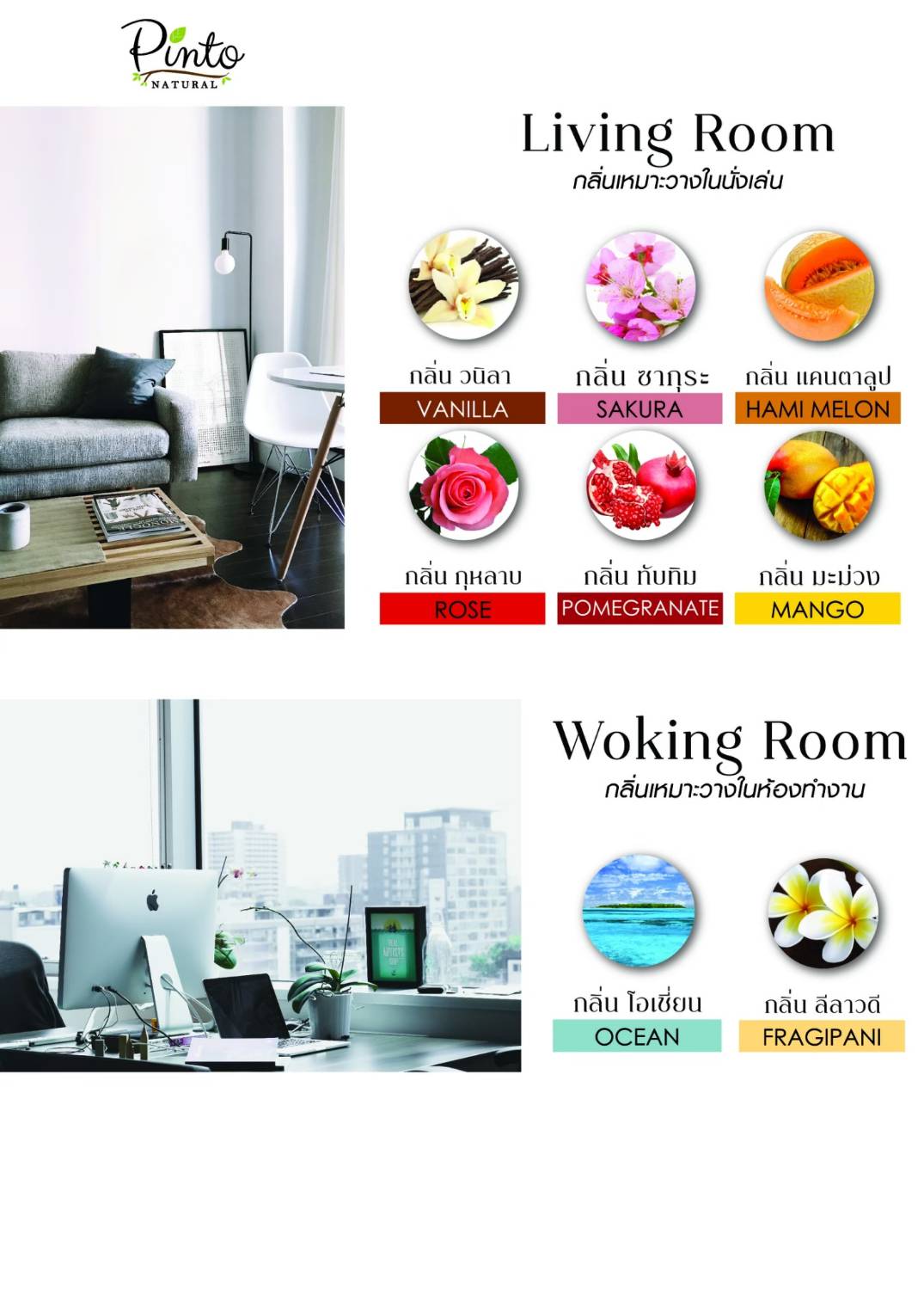 Pinto Natural Aromatic Reed Diffuser ก้านไม้หอมปรับอากาศ กลิ่นดอกโมก ...