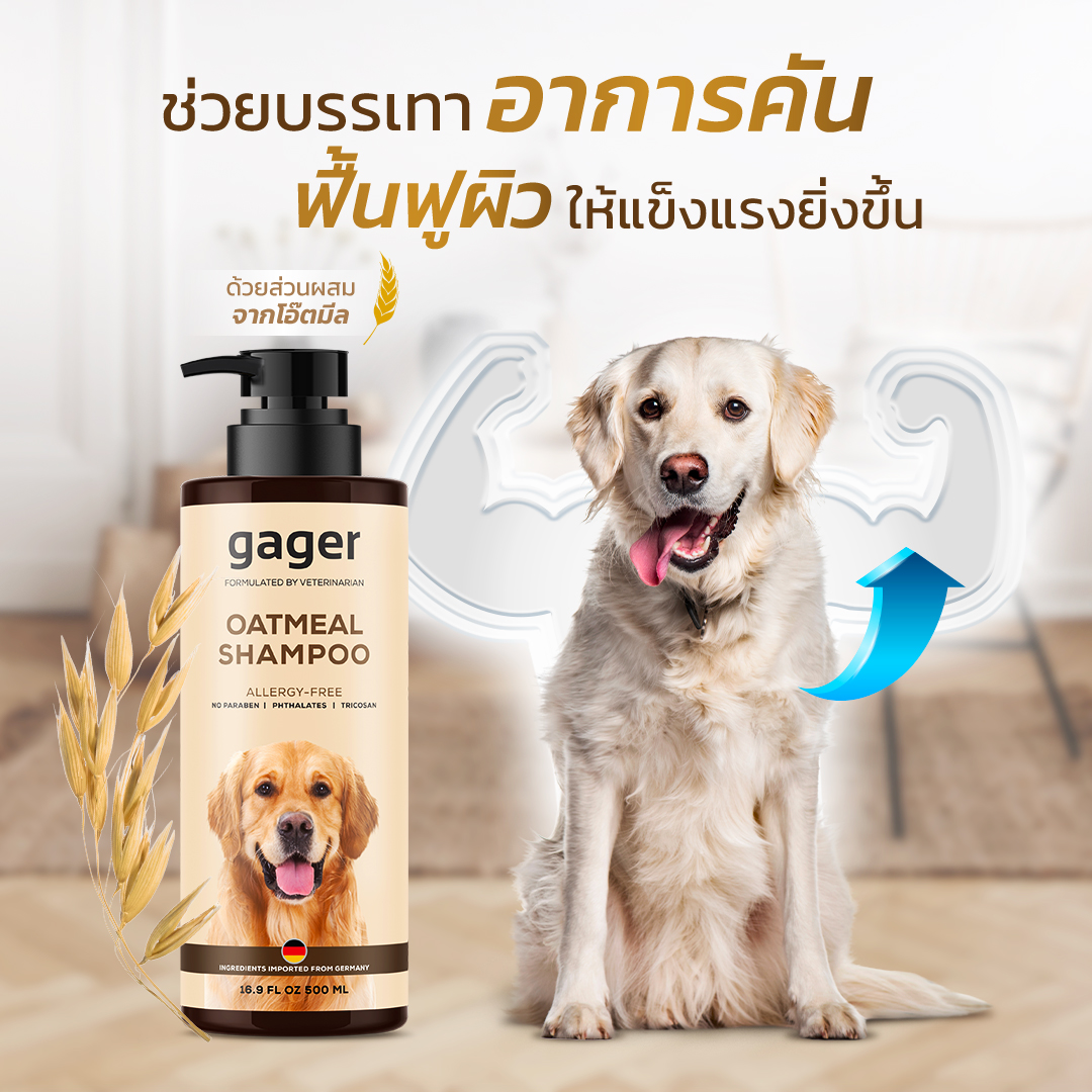 แชมพูอาบน้ำสุนัข สำหรับโกลเด้น รีทรีฟเวอร์&ลาบราดอร์ สูตรโอ๊ตมีล ...