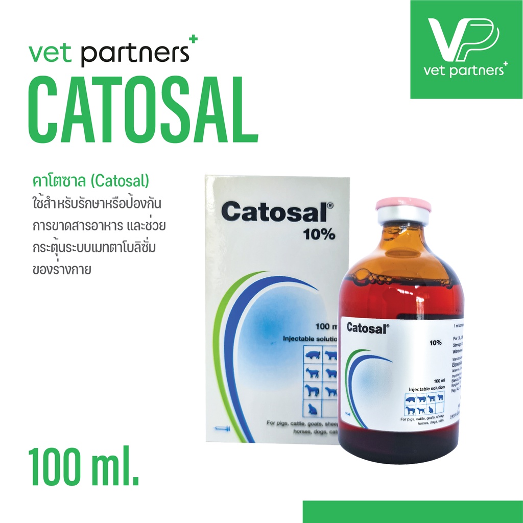 ข้อเสนอสุดพิเศษ ส่งทันที CATOSAL 10 100 mlคาโตซาล 10 100 มล.(ยาบำรุง ...