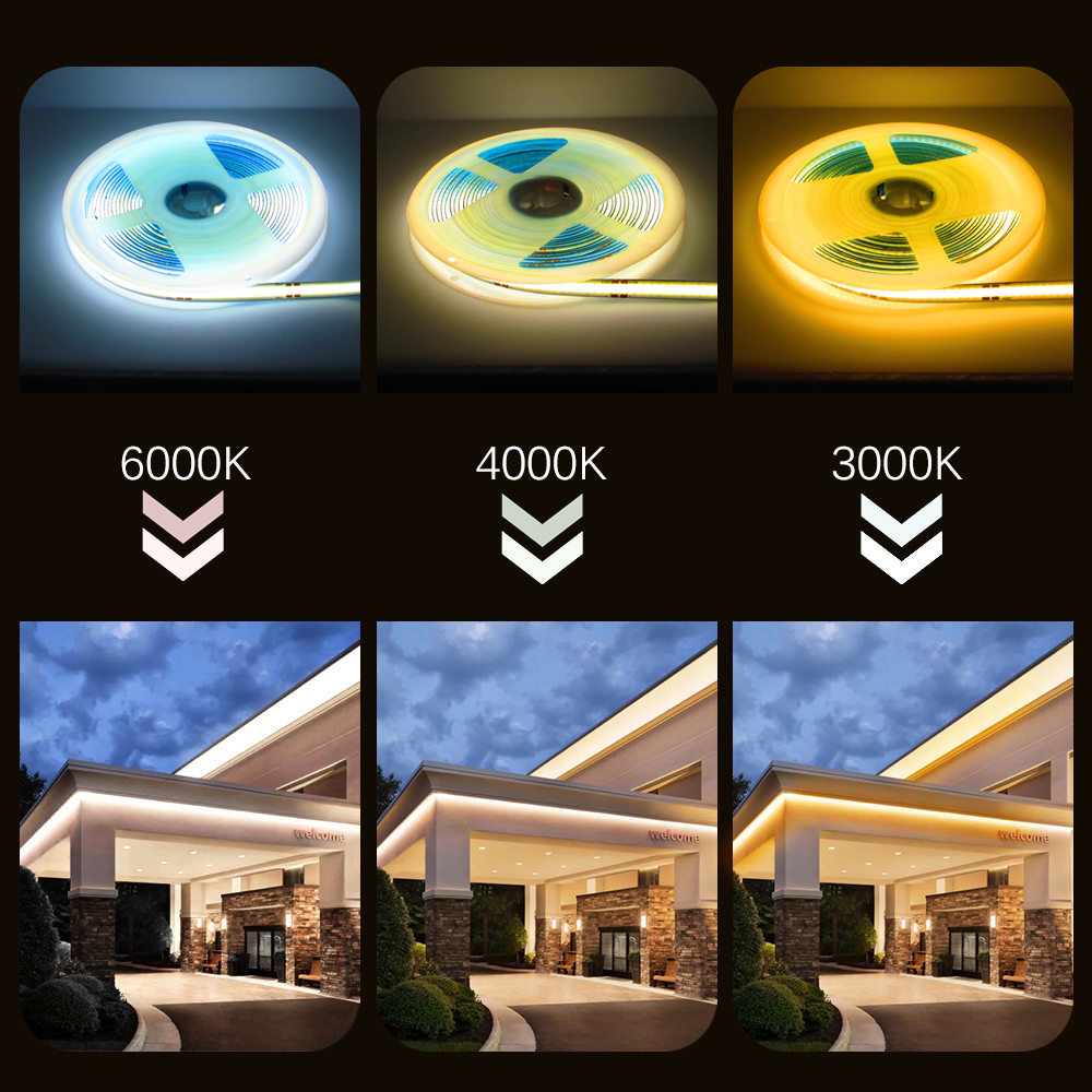 FCOB LED Strip Light 12V 24V 5M 300320 LEDsm High Density Flexible FCOB COB Led Lights RA90 Warm ...