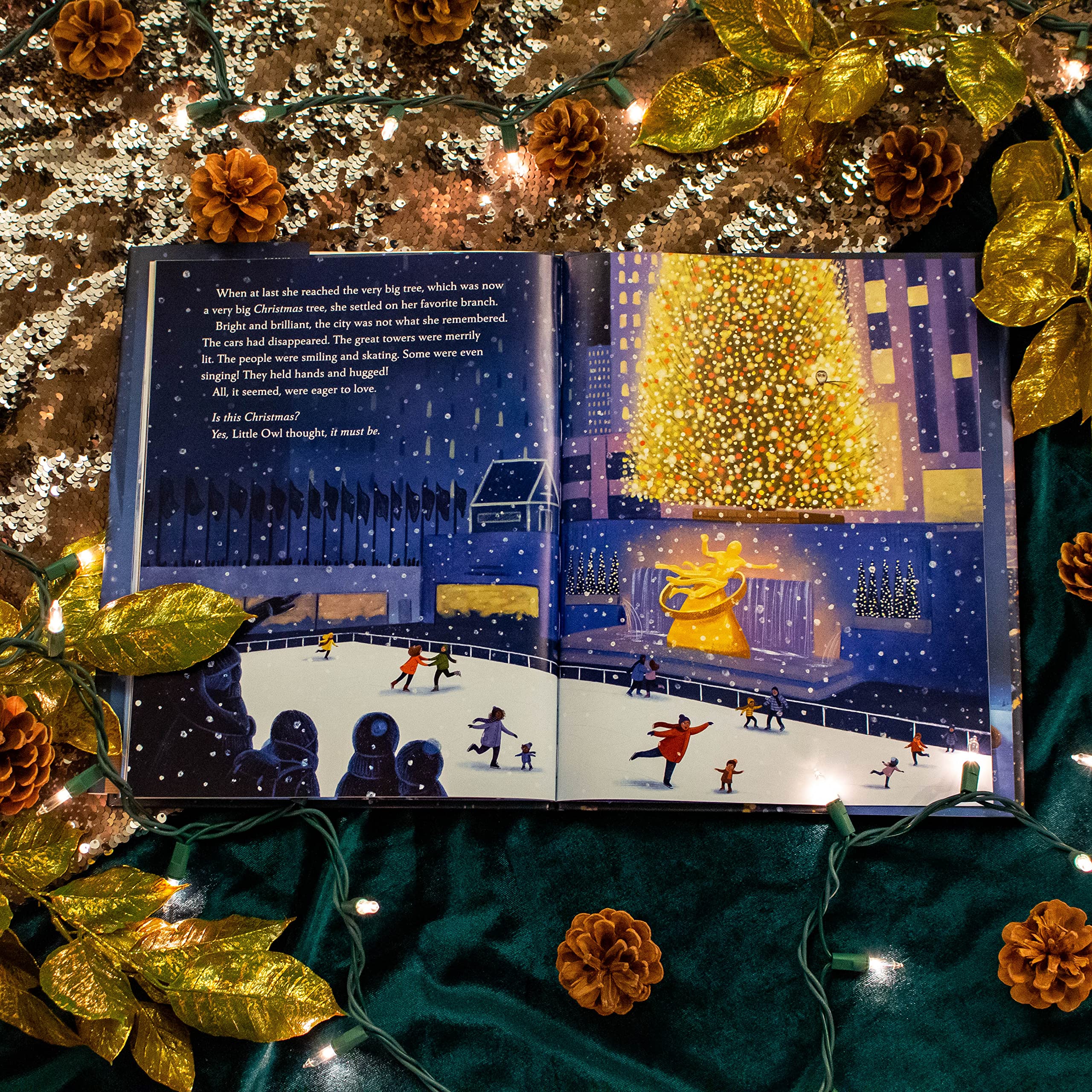 The Christmas Owl Based on the True Story of a Little Owl Named ...