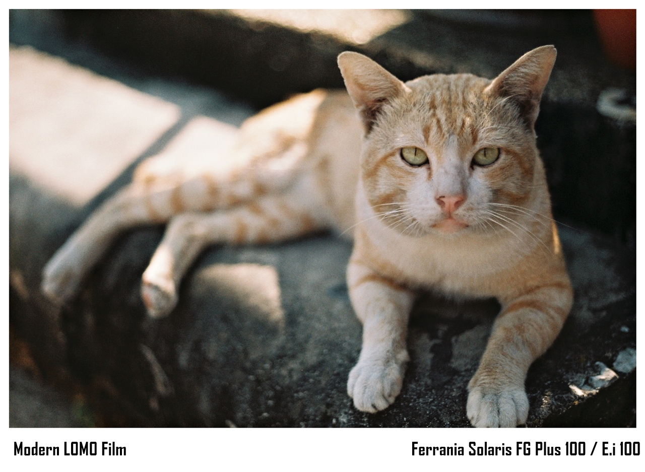 ฟิล์มสี 135 Ferrania Solaris FG plus 100 - Modern LOMO Film - ThaiPick