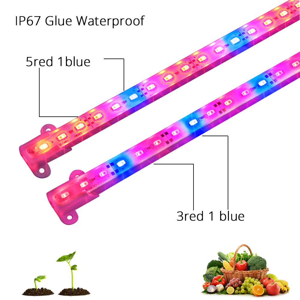 2021DC 12V Led Grow Light Waterproof Lamp for plants Full Spectrum ...