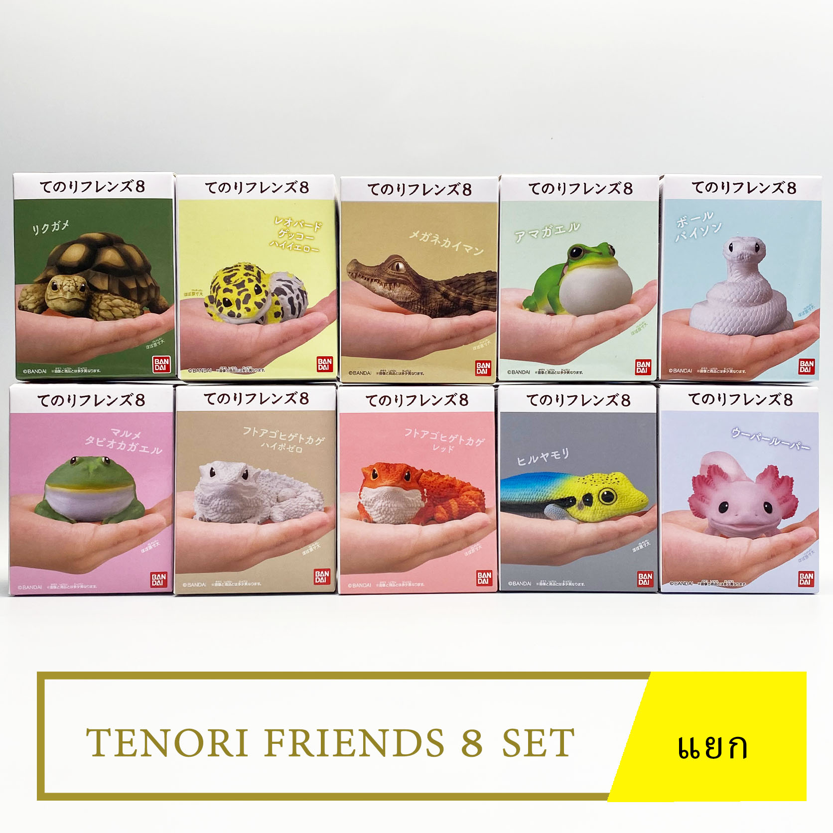 พร้อมส่ง แยก Bandai Tenori Friends 8 โมเดลสัตว์ สมจริง น่ารัก Model ...