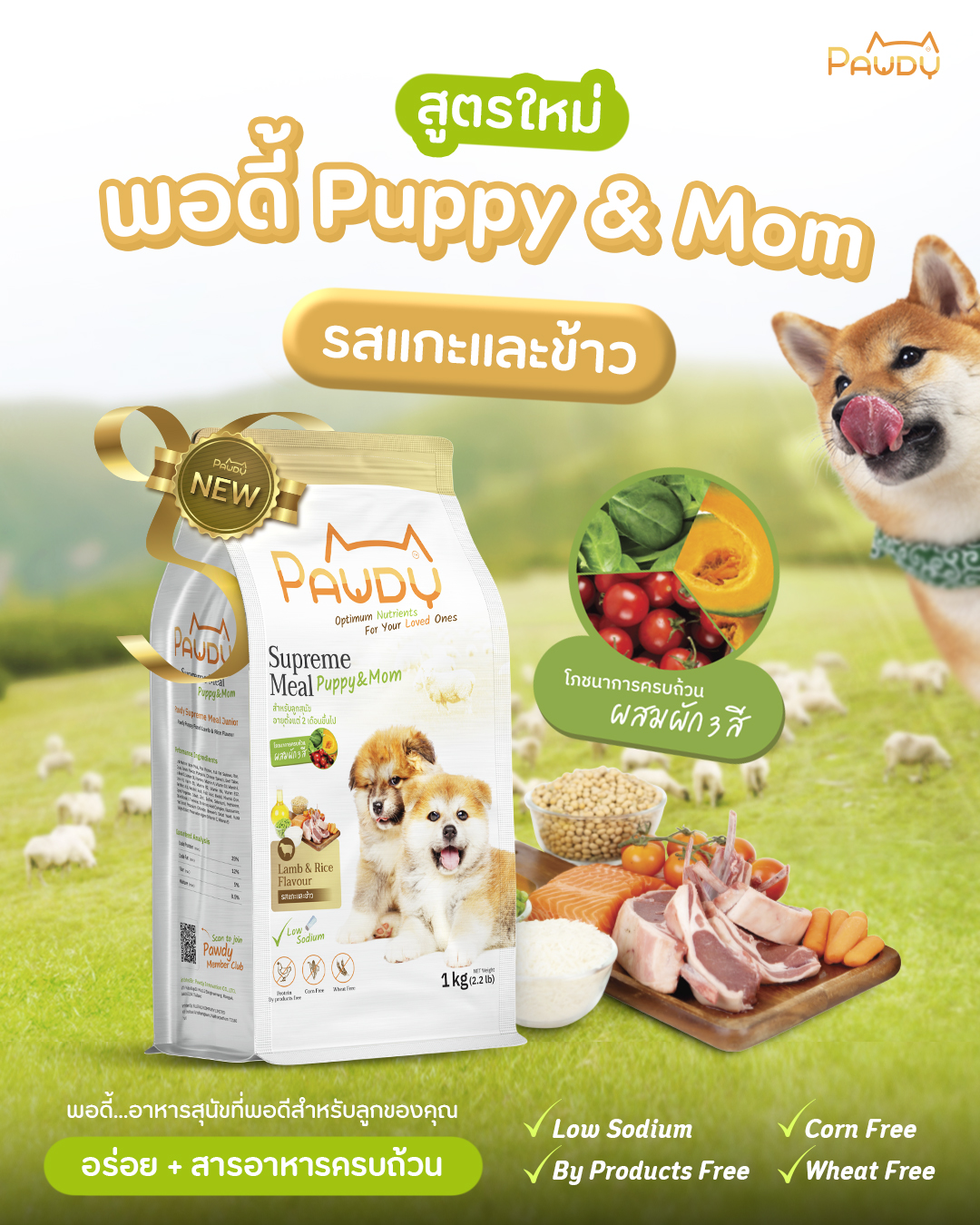 อาหารสุนัข PAWDY (พอดี้) สำหรับลูกสุนัข รสแกะและข้าว ขนาด 1 กิโลกรัม ...