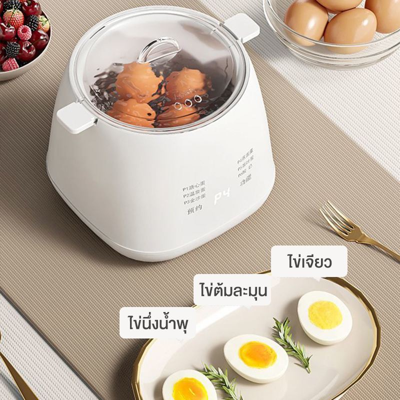 Tixx multi-function egg cooker egg laying 12h food grade pp material ...