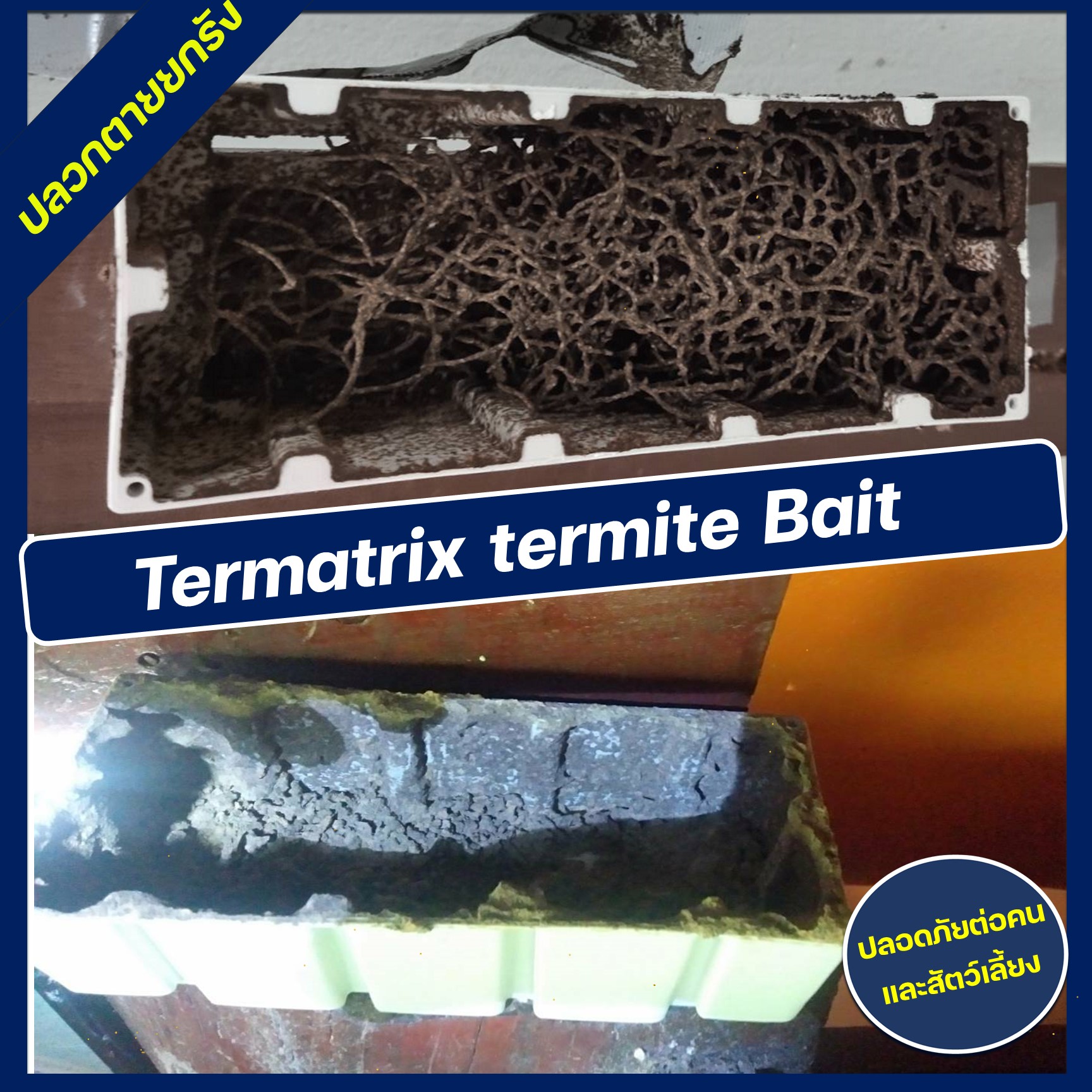 เหยื่อกำจัดปลวก Termatrix เหยื่อปลวก อาหารปลวก ฆ่าปลวก กำจัดปลวก ชุดเติม Refill - 225 Termite ...