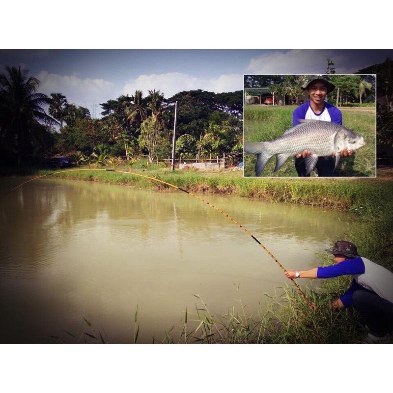 W.Haibin ไผ่ข้อดำ 3H คันชิงหลิวลายไผ่ คาดข้อดำ สุดพรีเมี่ยม [อะไหล่แท้บริการหลังการขาย] / ไฮบิน ...