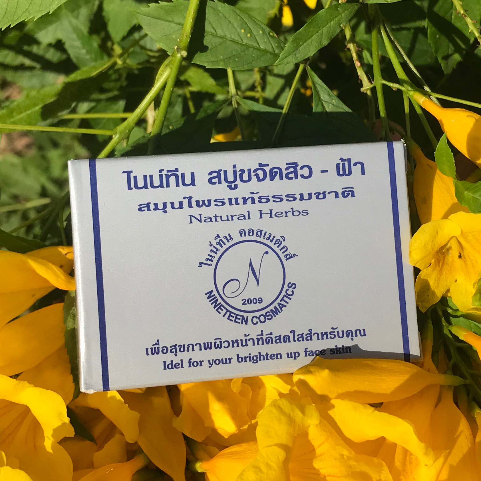 สบู่ไนน์ทีน - Damon ploy - ThaiPick