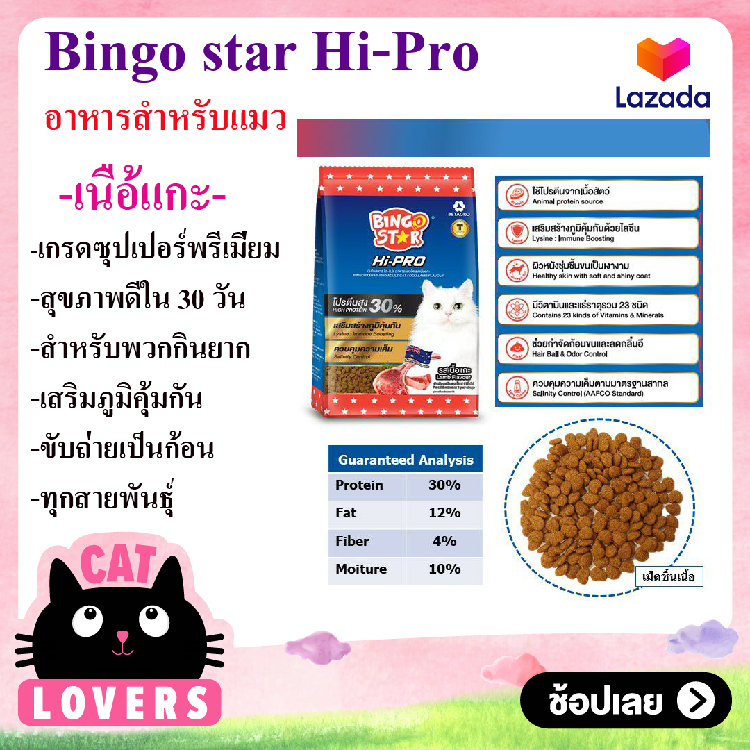 [1 ถุง]ฺBingo Star Lamb Premium Cat Food 30% 1 kg /อาหารแมวบิงโกสตาร์ ...