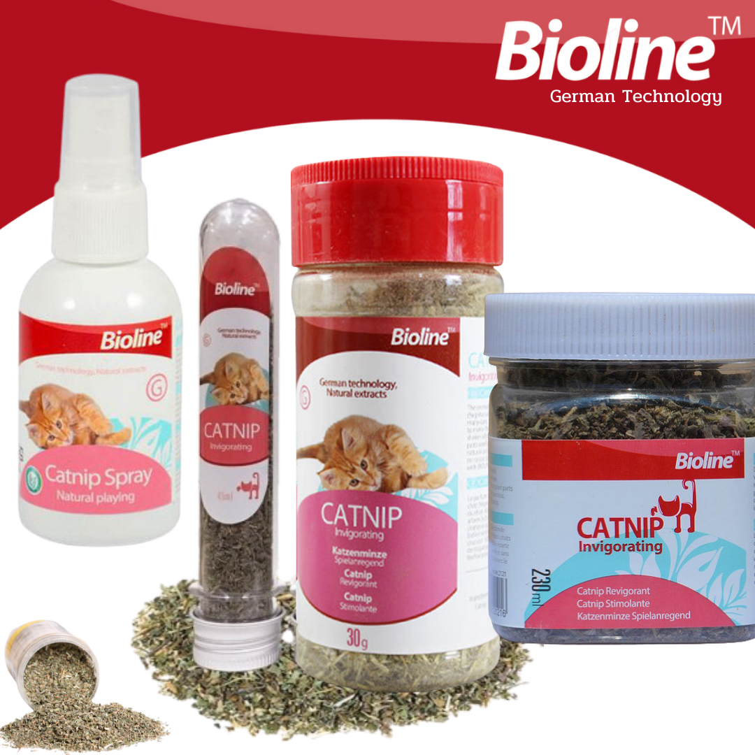 ยอดนิยม* Bioline กัญชาแมว catnip แคทนิปโรยอาหาร ของเล่นแมว แปรงขนแมว พร้อมส่ง | Lazada.co.th