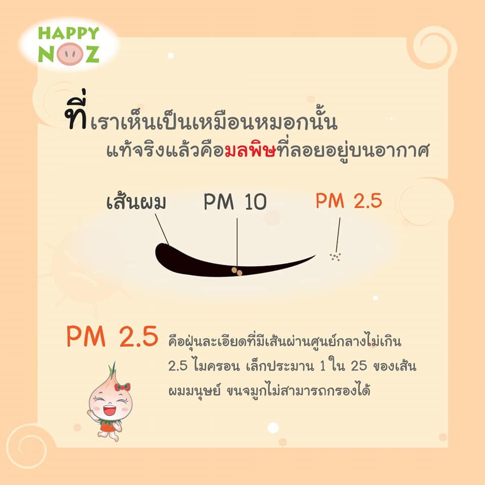 Happy Noz Detox PM2.5 สีส้ม กล่องละ 4 ชิ้น แถมฟรี 2 ชิ้น [1 กล่อง] สติ๊กเกอร์หัวหอม ใช้ในวันที่ ...