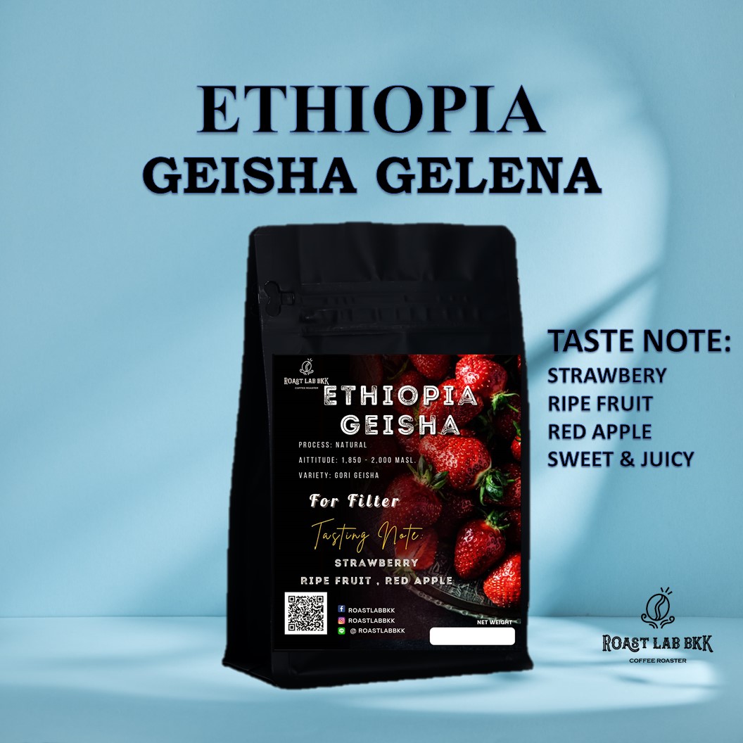 Roast.Lab.BKK เมล็ดกาแฟ Ethiopia Gelana Geisha G.1 เมล็ดกาแฟเอธิโอเปีย จี 1 | Lazada.co.th