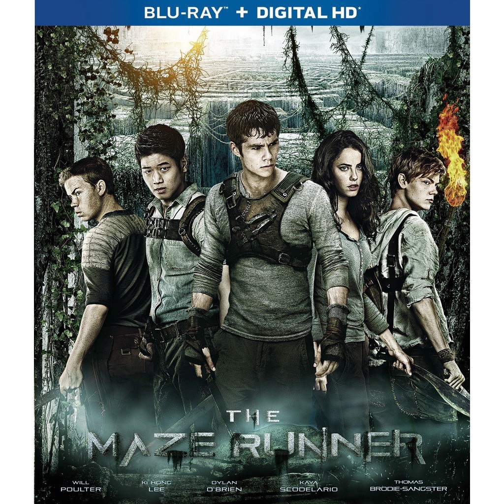 Bluray FullHD 1080p Collection หนังฝรั่ง เรื่อง Maze Runner เมซรันเนอร์ ...