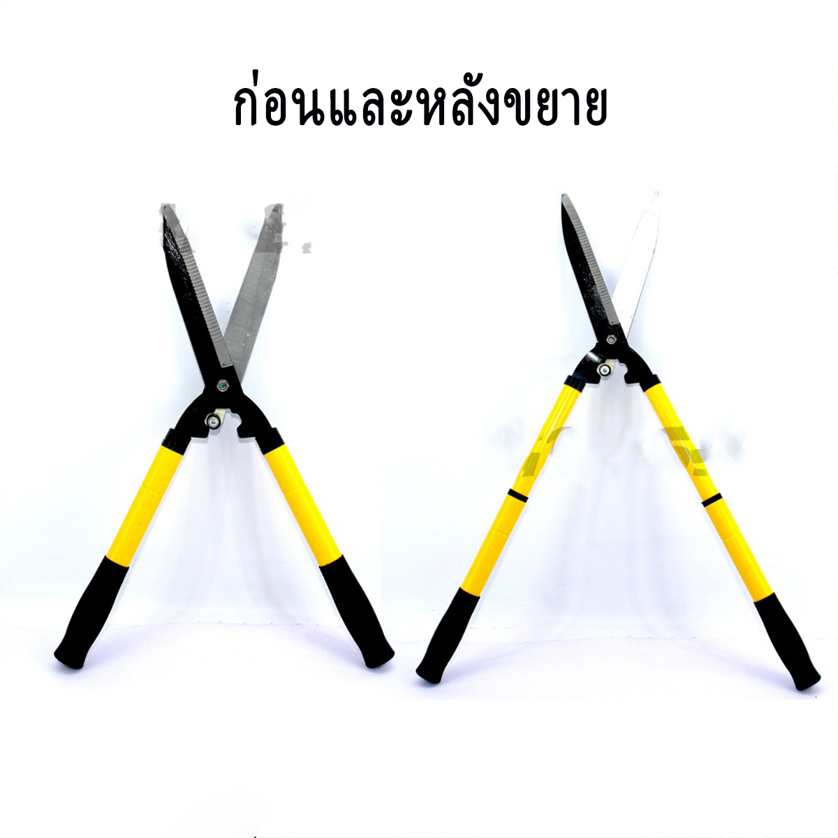 เครื่องตัดหญ้า GUNTING RUMPUT Anton Grass & Shrub Shear Telescopic ...