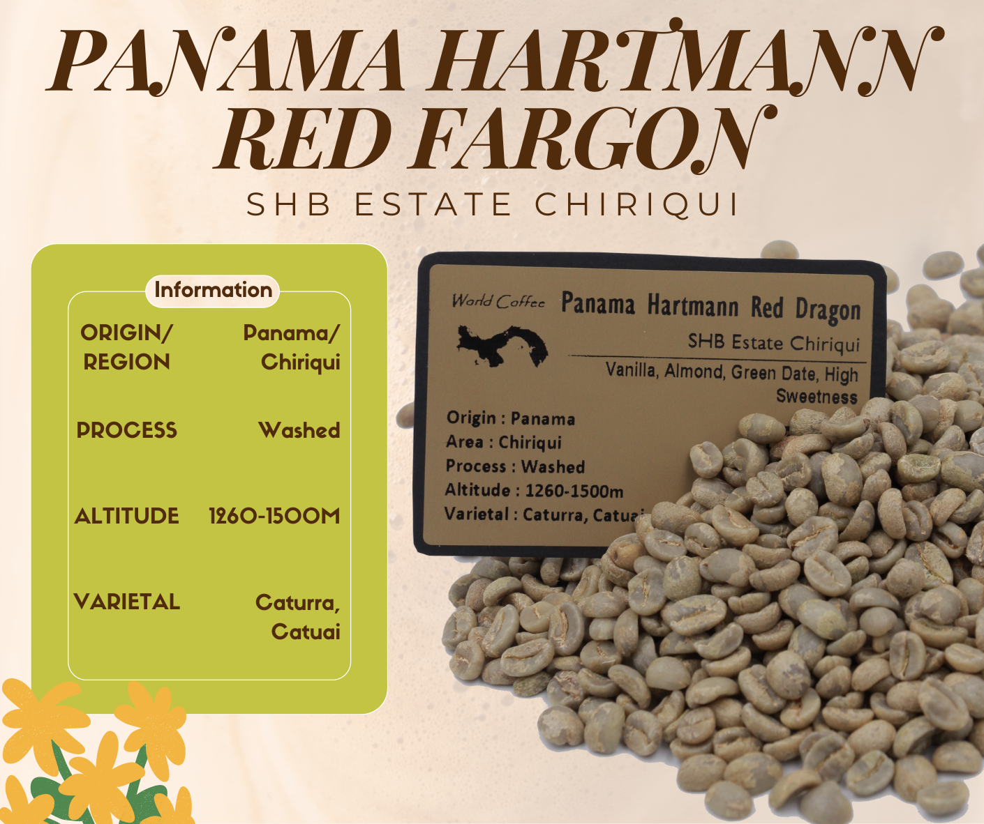 พร้อมส่ง เมล็ดกาแฟดิบ Panama Hartmann Red Dragon washed Process / เมล็ด ...