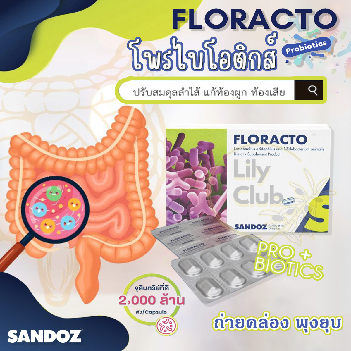 ฟลอแรคโต ผลิตภัณฑ์เสริมอาหาร ช่วยปรับสมดุลลำไส้ Probiotics Floracto ...