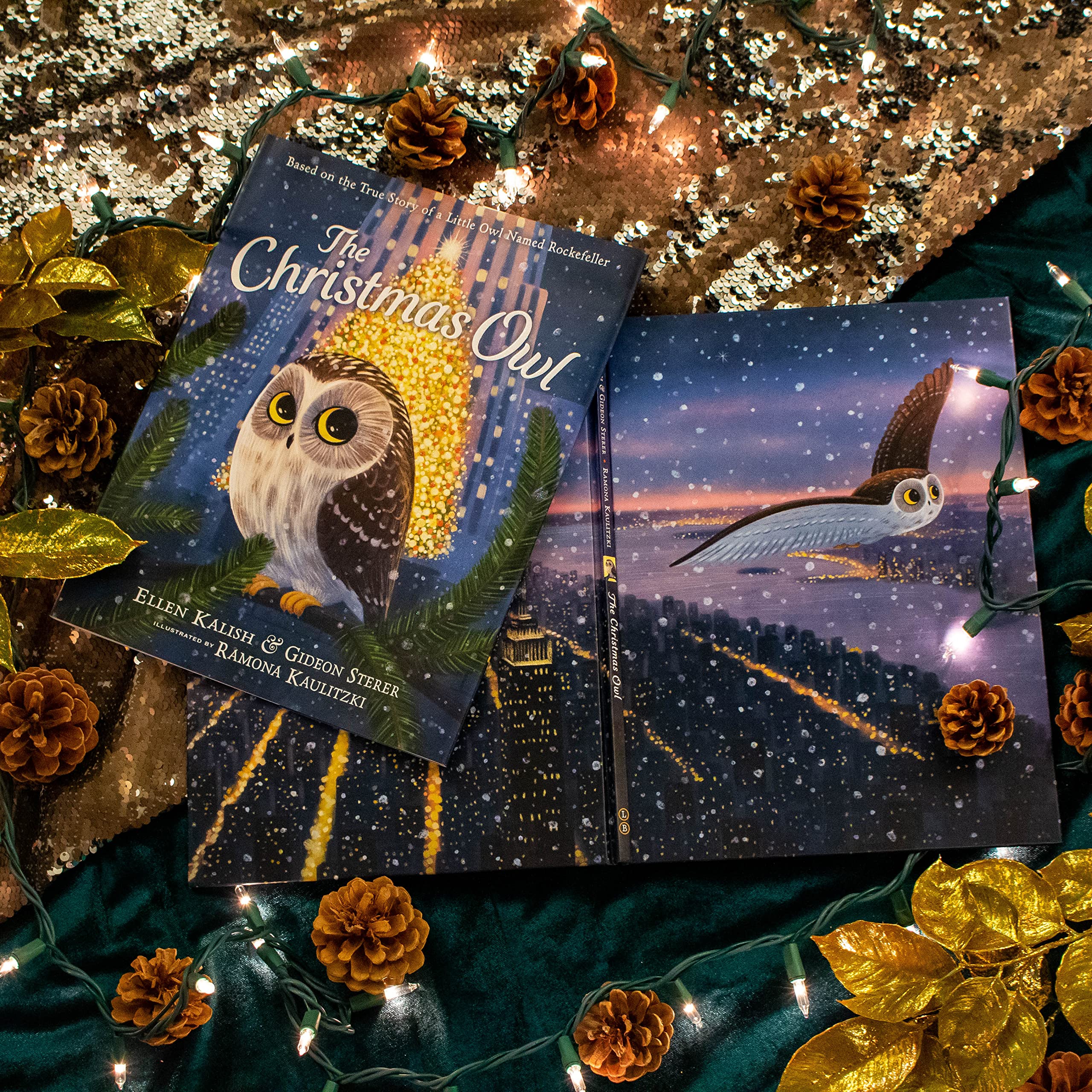 The Christmas Owl Based on the True Story of a Little Owl Named ...