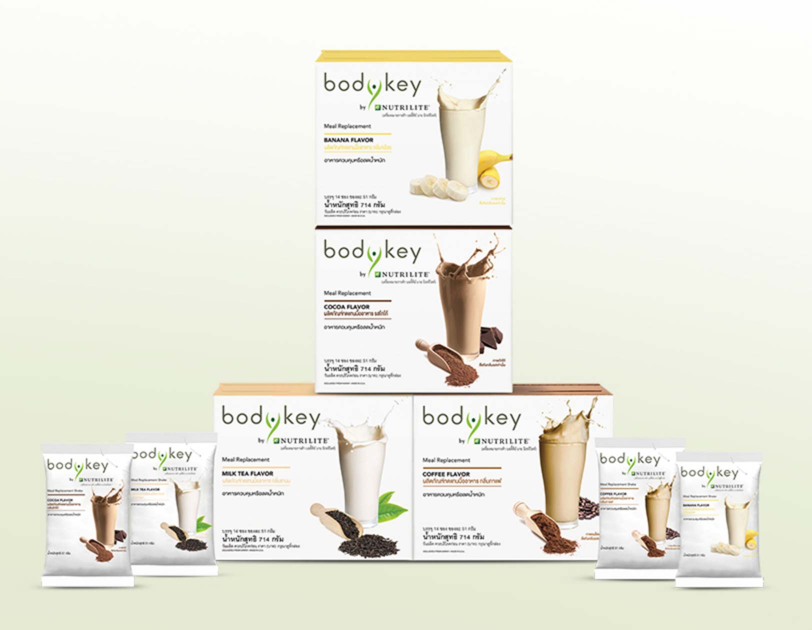 Bodykey by Nutrilite ????ผลิตภัณฑ์ทดแทนมื้ออาหาร รสโกโก้ กาแฟ ชานม ...