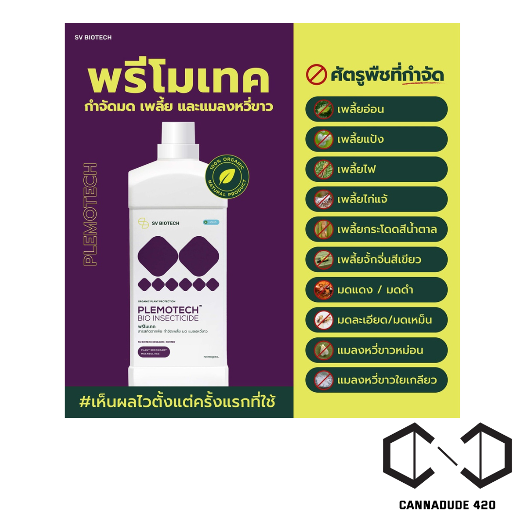 ปุ๋ยออร์แกนิค Plemotech เห็นผลตั้งแต่ครั้งแรก กำจัดเพลี้ยไฟ เพลี้ยอ่อน ...