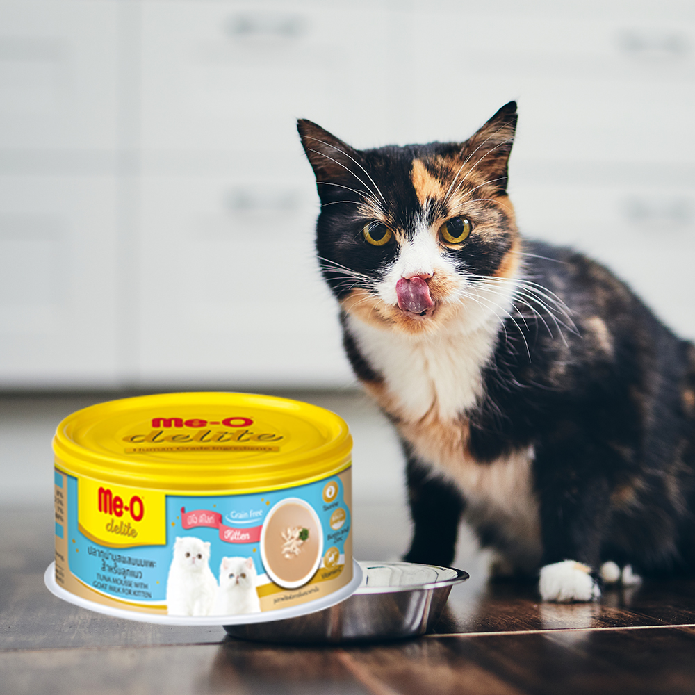 อาหารเปียกแมว อาหารลูกแมว อายุหย่านม-1ปี อาหารแมวมีโอ meo อาหารแมว ...