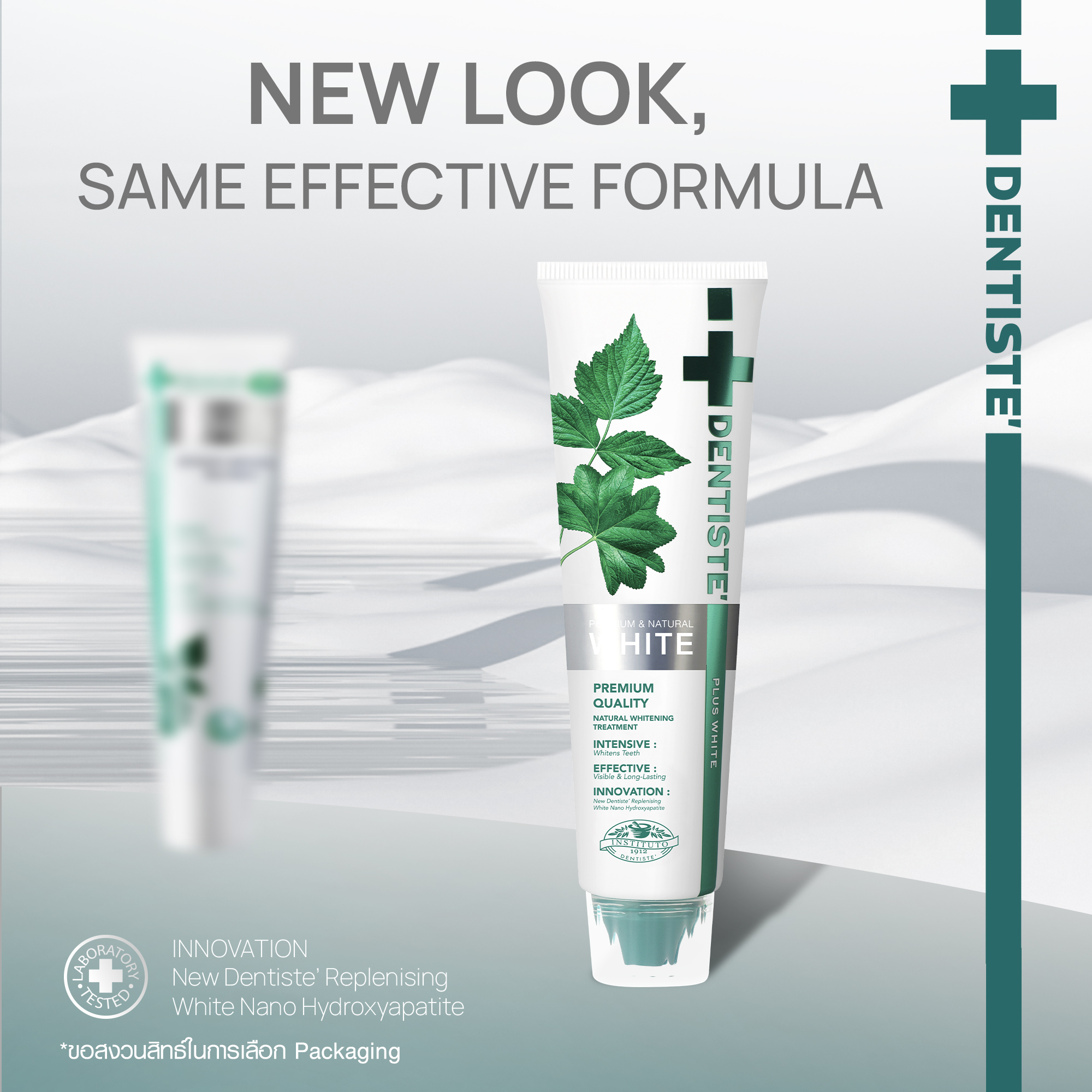 NEW มาใหม่ Dentiste Premium Natural White Toothpaste 100g. ยาสีฟัน สูตร ...