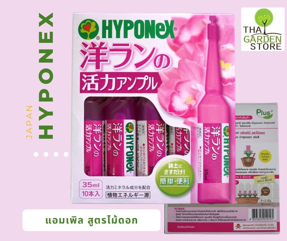 Hyponex Ampoel ไฮโปเน็กซ์ แอมเพิล อาหารเสริมชนิดน้ำปักลงกระถาง | Lazada.co.th