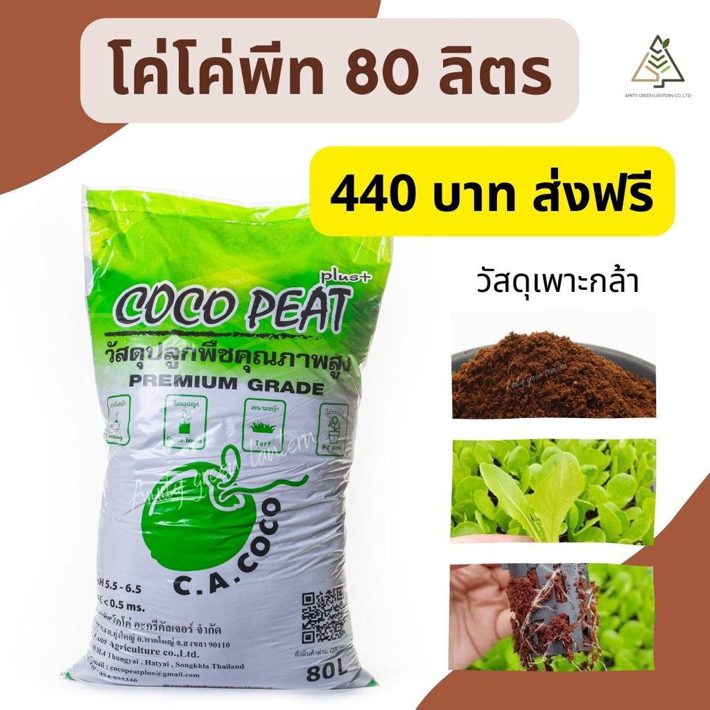 แบบใหม่ ♧80 ลิตร โคโค่ พีท (Coco Peat) - UYhSZDwZ - ThaiPick