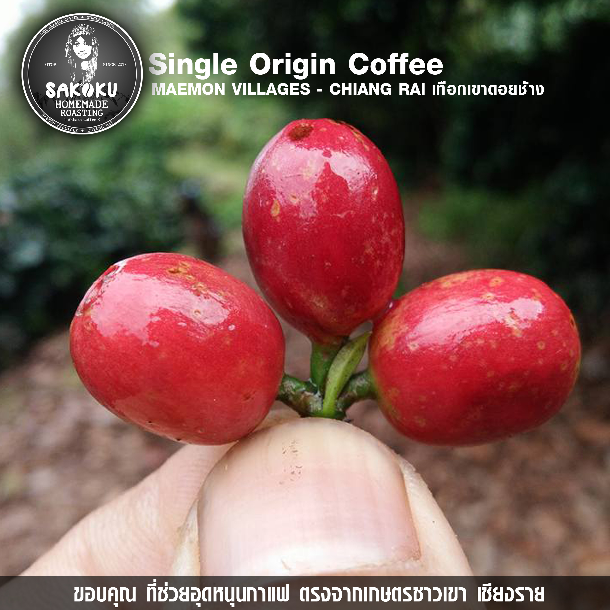 BlackBasic ขนาด 1 kg (250g 4ถุง) อาราบิก้า 100 Single Origin Coffee ...