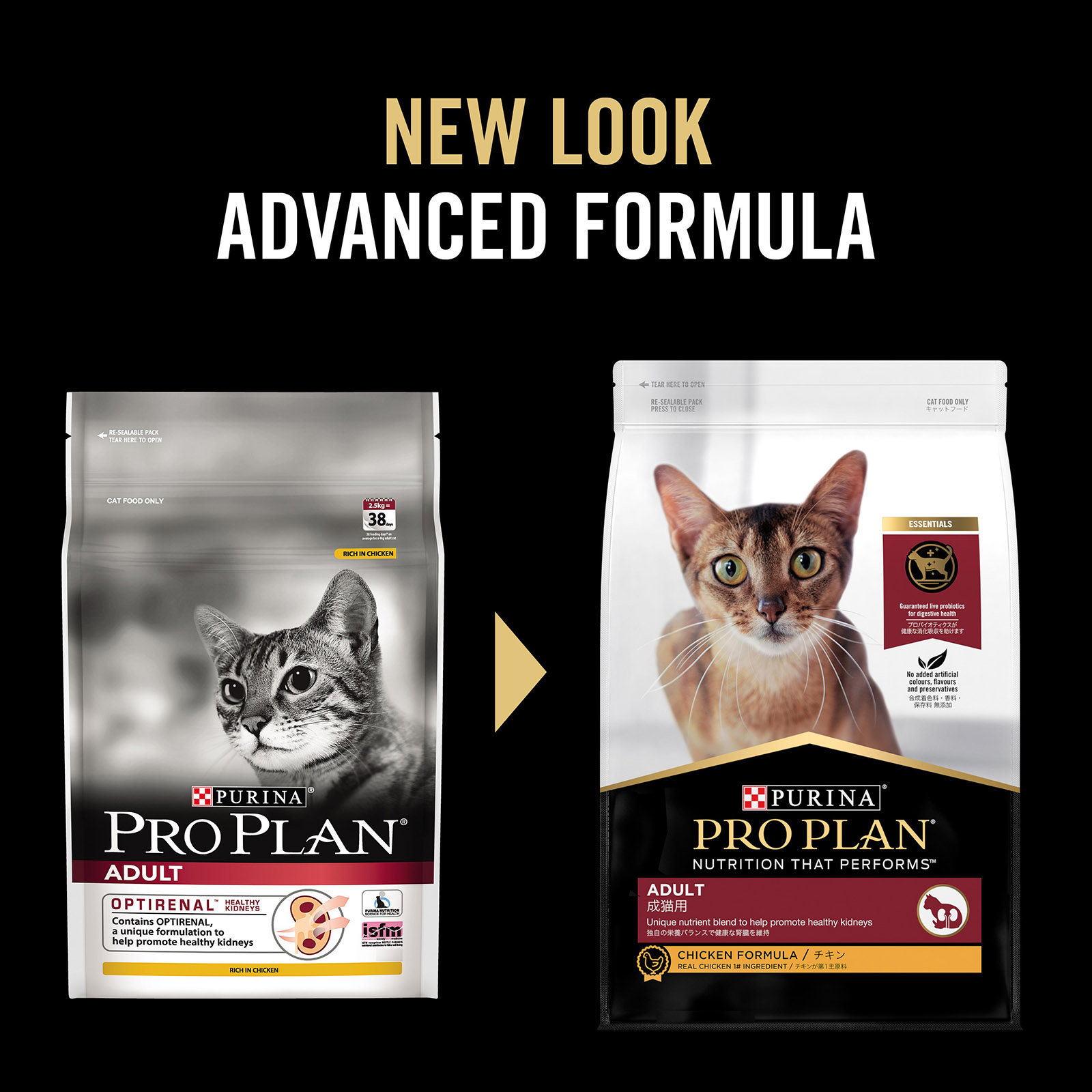 Pro Plan Cat Food Chicken and Rice Formula (Good Digestion Health) For ...