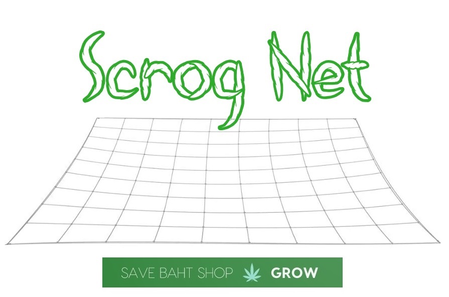 Scrog Net ราคาถูก ตาข่าย ปลูกต้นไม้ มี 11 ไซส์ 7575 120x60 100100 ...