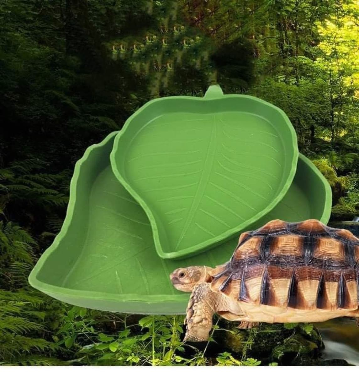 ถาดใส่อาหารและน้ำสำหรับเต่าบกทรงใบไม้ Size L พร้อมส่งอยู่ไทย ...