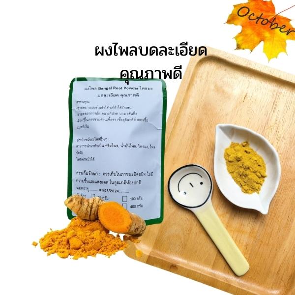 ผงไพล Bengal Root Powder ไพลผง บดละเอียด คุณภาพดี | Lazada.co.th