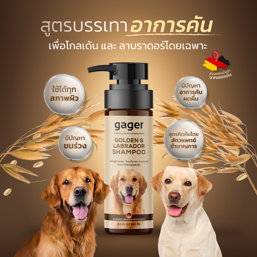 Gager แชมพูอาบน้ำสุนัข ลดขนร่วงและอาการคัน อ่อนโยน สูตรDetox สกัดจาก ...