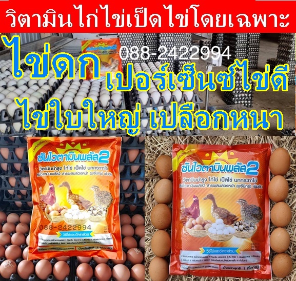 ไข่ดก เปอร์เซ็นต์ไข่ดี ไข่เปลือกหนา ไข่น้ำหนักดี เปลือกแข็ง บำรุงการออกไข่ ไก่ไข่ เป็ดไข่ นก ...