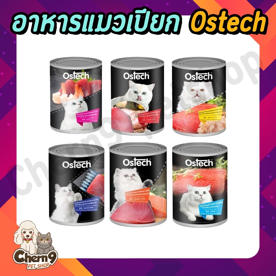 (1 โหล=12 ซอง) อาหารแมวแบบเปียก Ostech ออสเทค อาหารเปียกแมว ทุกสาย ...