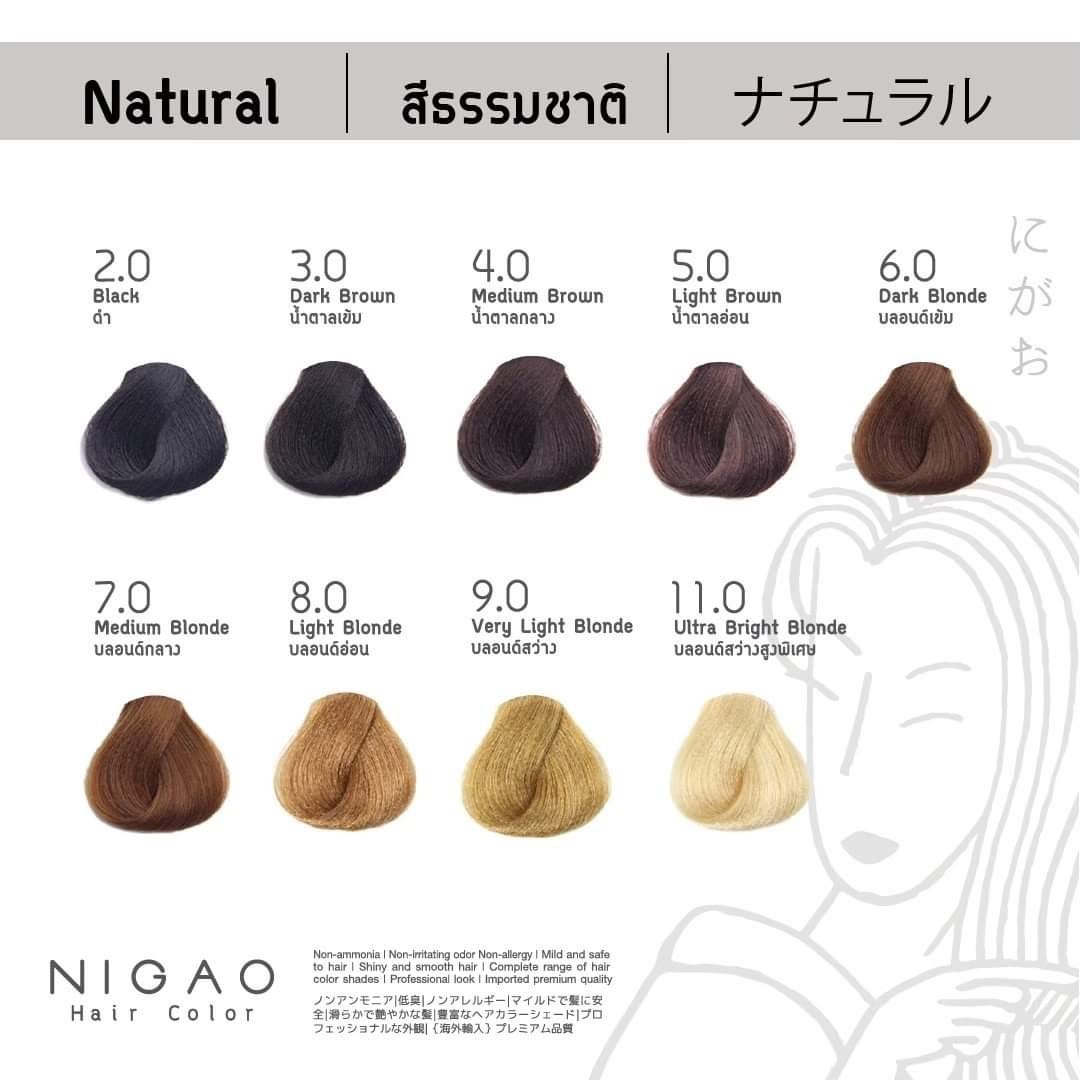 (11.0+11.11) ครีมเปลี่ยนสีผมนิกาโอะ(Nigao) ปริมาณ 100 ml / เม็ดสีแน่น / ไร้แอมโมเนีย ไม่ฉุน ...