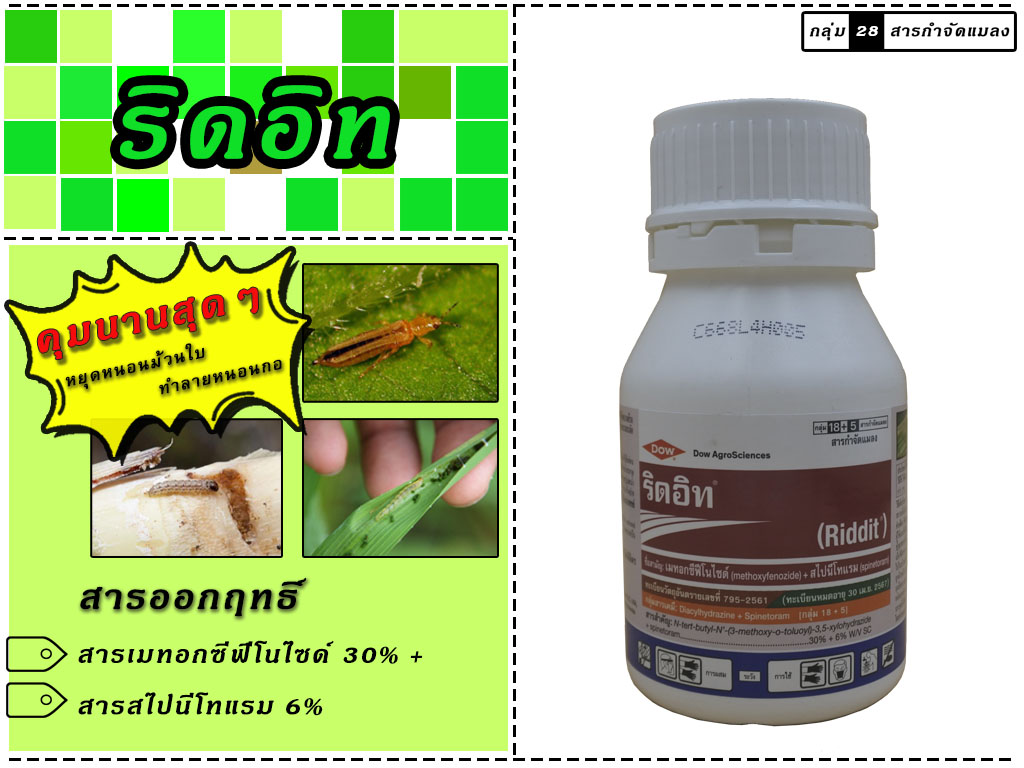 สารกำจัดแมลง เอส85 S85 1kg - Lamiadfeed - ThaiPick