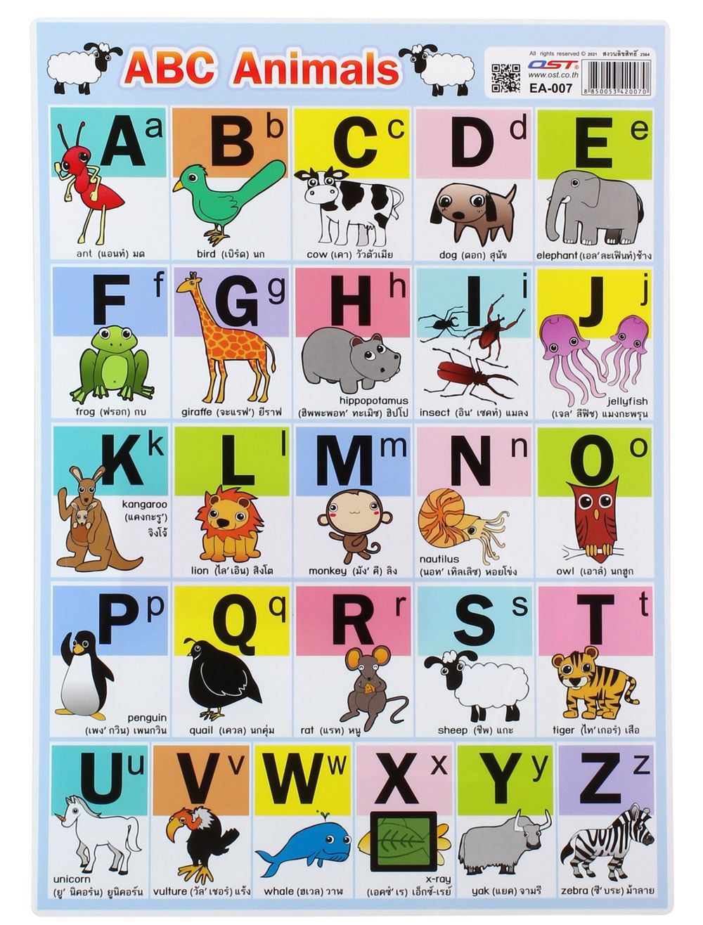 ABC Animals พลาสติก PP ขนาด A4 #EA-007 (จำนวน 1 ชิ้น) | Lazada.co.th