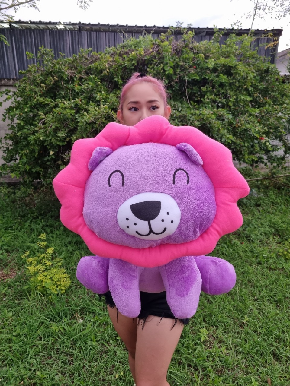 ตุ๊กตาสิงโตขนาด20นิ้วงานผ้าขนนุ่ม ราคาโรงงาน | Lazada.co.th