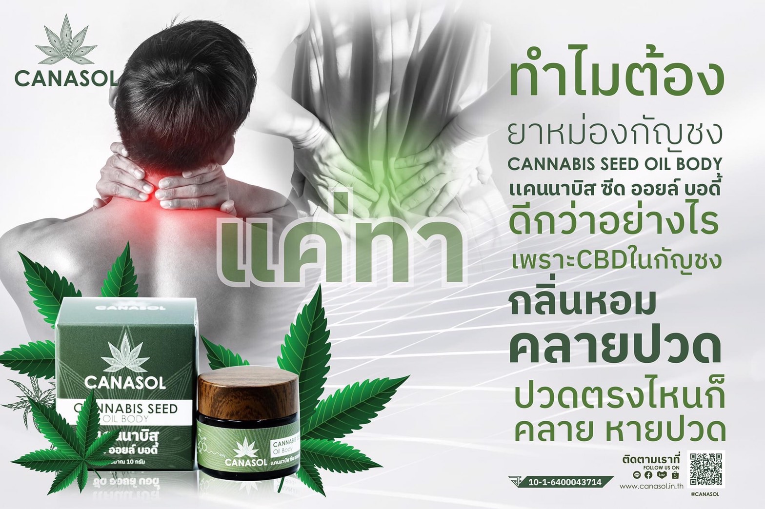 Canasol Oil Body 10 g.ยาหม่องที่มีส่วนผสมสมุนไพร100% 10 ก. | Lazada.co.th