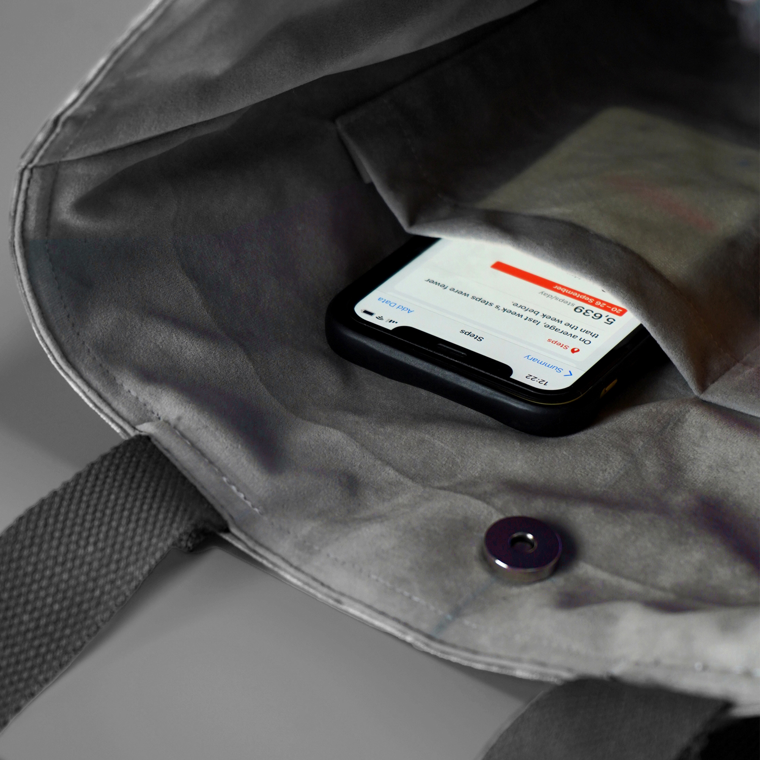 กระเป๋า Tote Bag Akaneg Form ลาย Pitbull Terrier (1912) by Moriz Jung ...