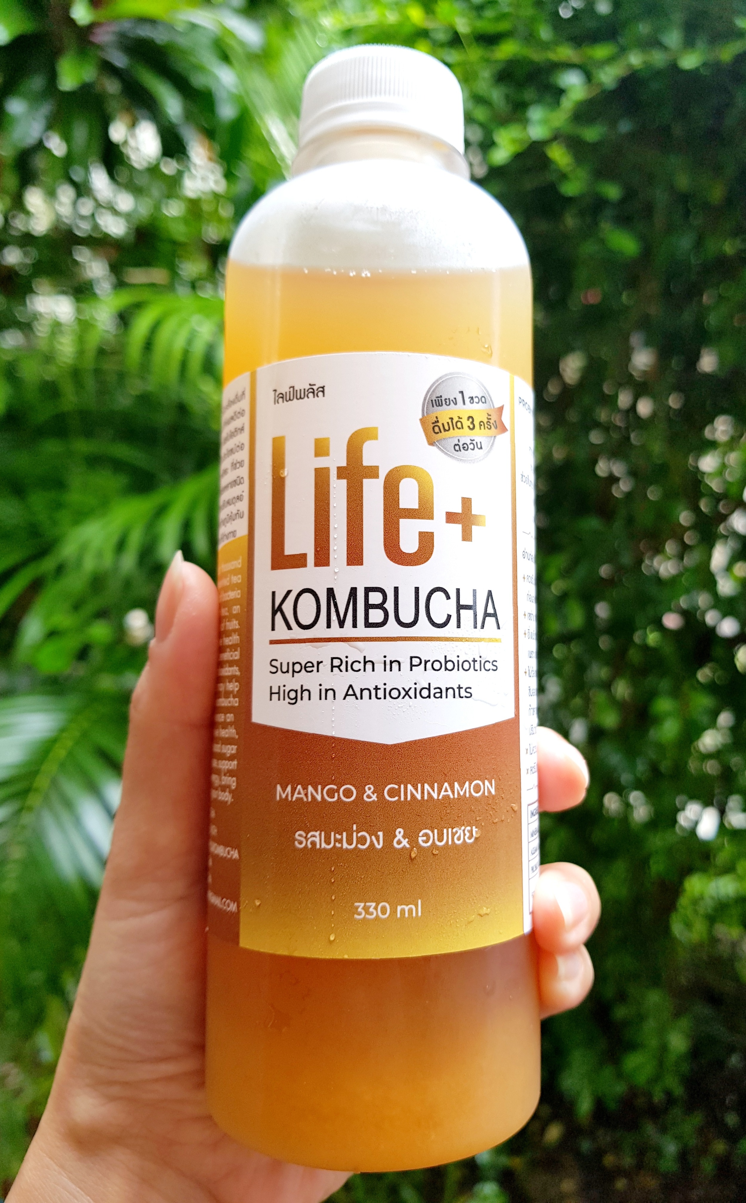 แพค 8 รสชาติ Life KOMBUCHA raw organic 330ml คอมบูชา คอมบูชะ ชาหมัก ดี ...