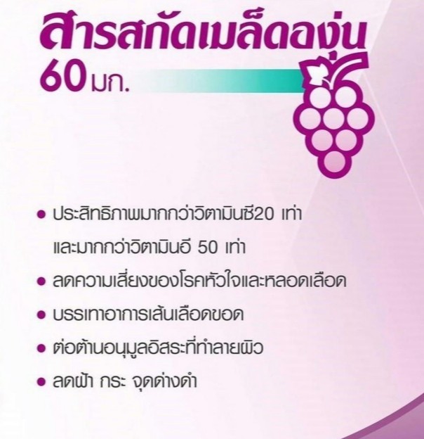 [EXP11/2022] VISTRA GRAPE SEED 60 mg. 7+1 CAPSULES 3.50 g. | วิสทร้า เกรพ ซีด 60 มก. 7+1 แคปซูล ...