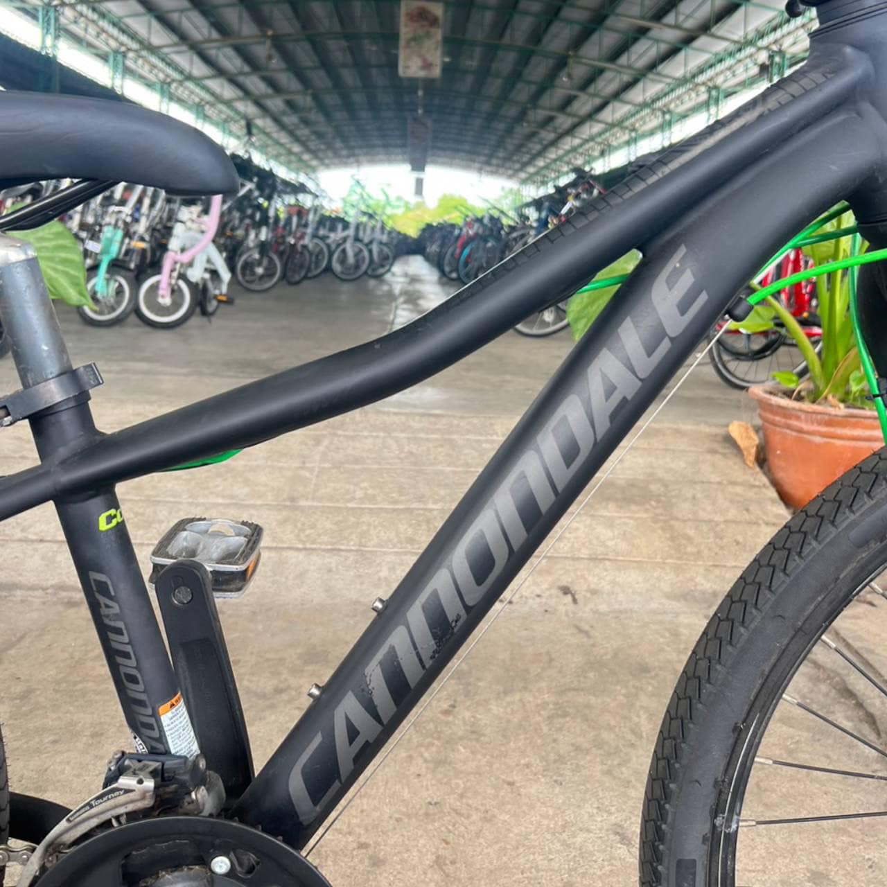 CANNODALE street boy24 - Jbike - ThaiPick