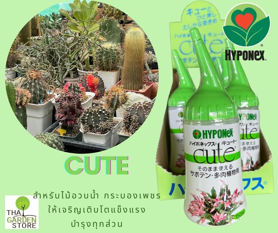 HYPONeX CUTE 5 สี อาหารเสริมน้ำหยดตัวใหม่ เคล็ดลับการบำรุงไม้กระถางจากญี่ปุ่น อ่อนโยนต่อรากพืช ...