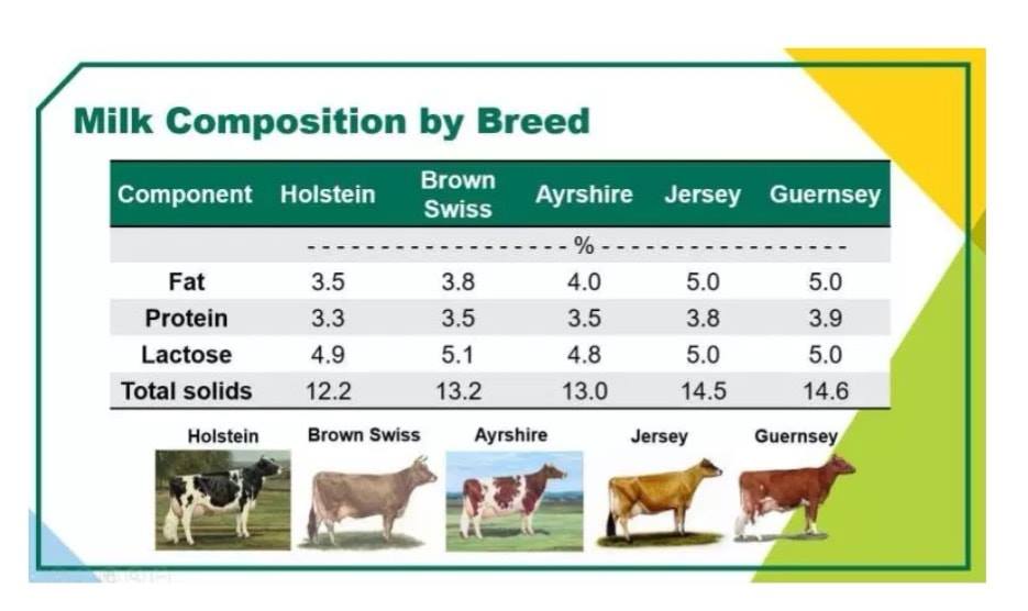 ขายยกลัง นม Goldmilk Guernsey UHT (180มล x 40กล่อง) Guernsey UHT (180 ml x 40pcs) - Guernsey UHT ...