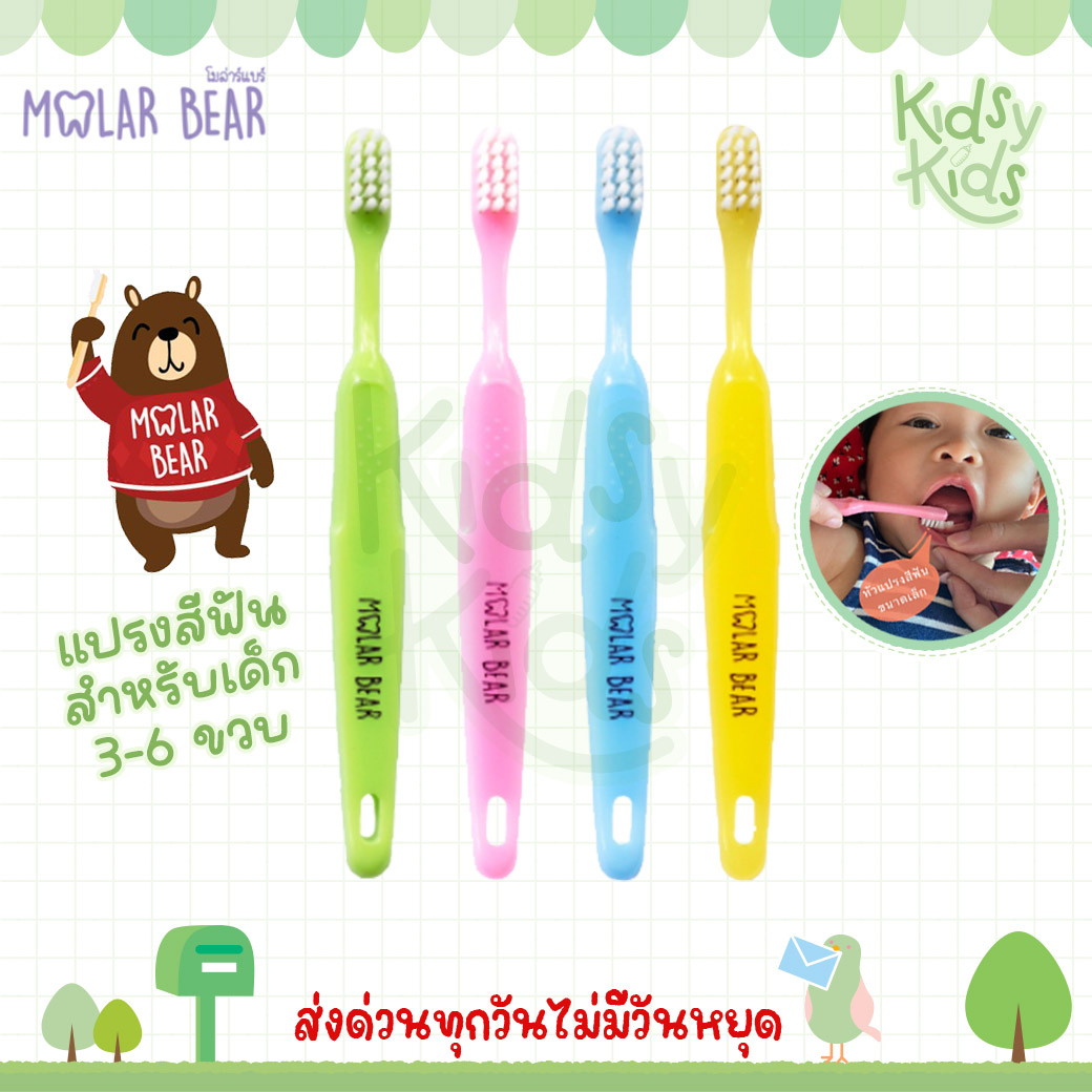 โปรเปิดร้านใหม่ Molar Bear 3-6 ขวบ แปรงสีฟันเด็ก ขนนุ่ม หัวแปรงขนาดพอดี ...