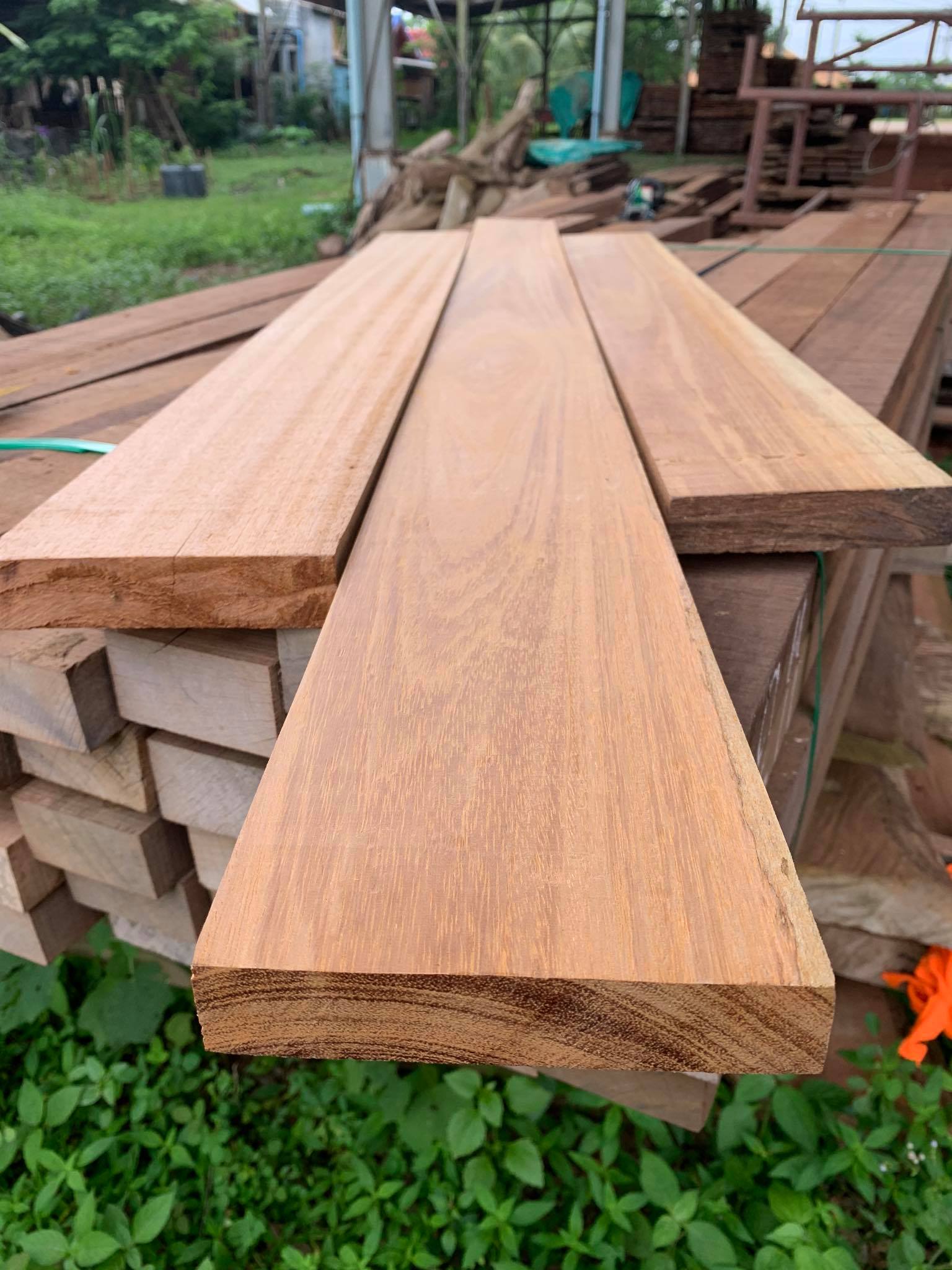 ไม้ตะเคียน(Wood)ขนาด1.5" x 6"ชื่อไม้Merawan Wood มีสีเหลืองขาวนวลลายไม้ ...