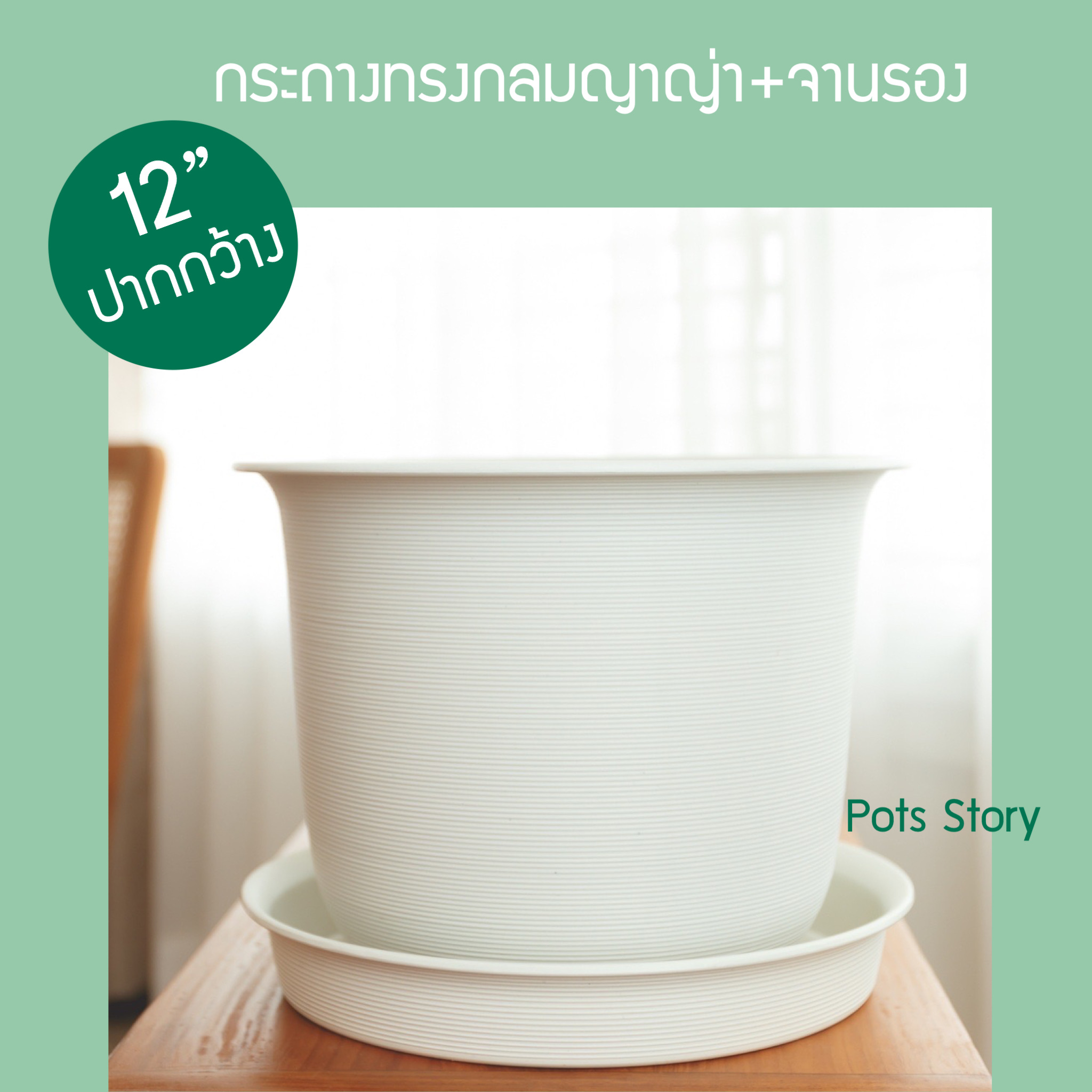 12 inches White Tree Pot Minimal style with saucer made by A grade ...